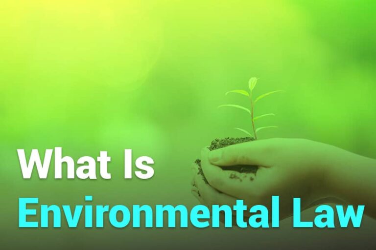 What Is Environmental Law? A Guide to Protecting the Planet